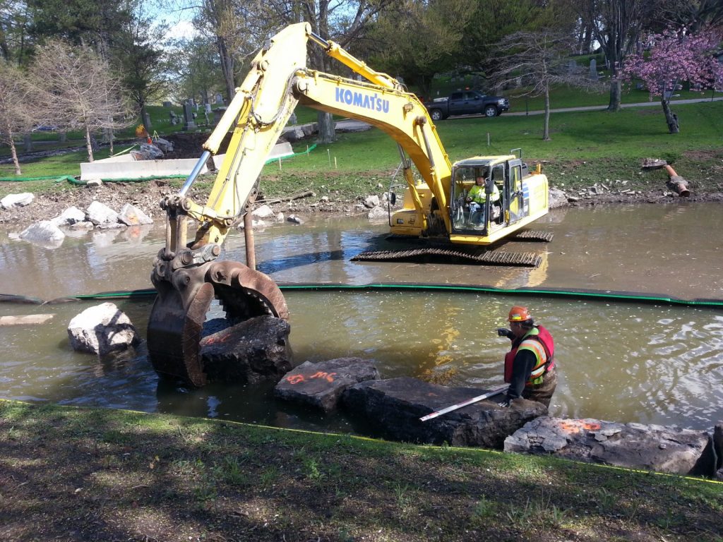 Scajaquada Creek Shoreline Buffer and Wetland Restoration | BSA