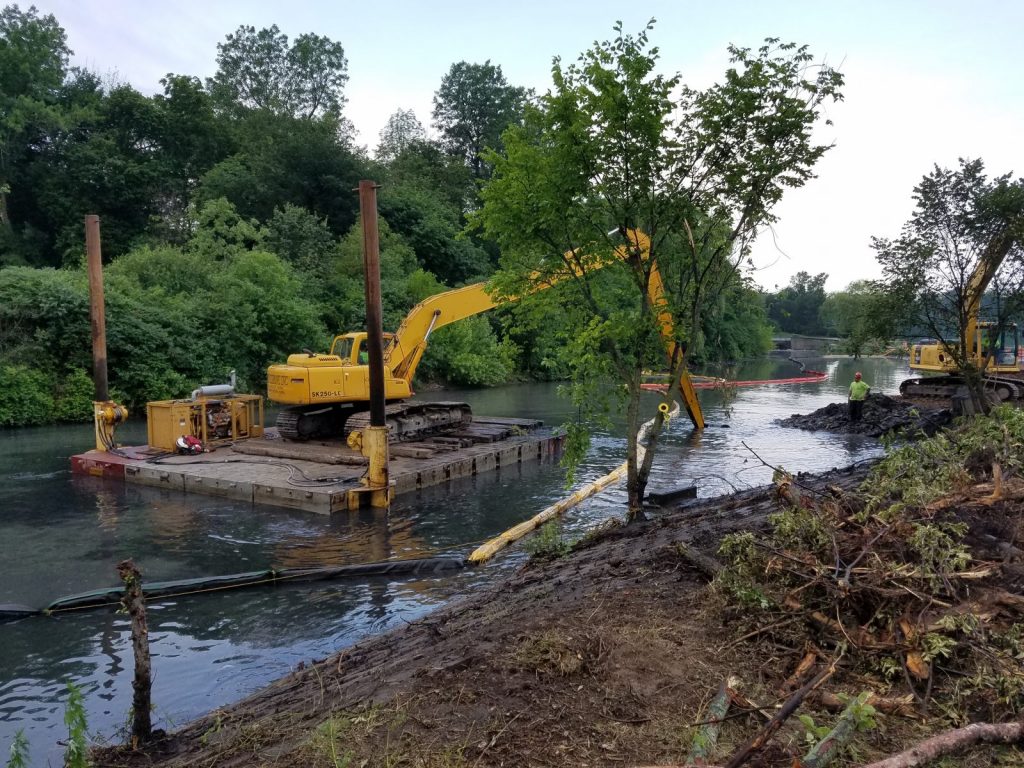 Scajaquada Creek Shoreline Buffer and Wetland Restoration | BSA
